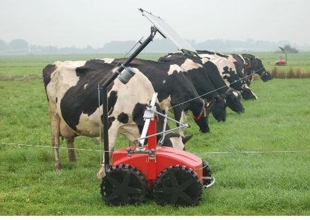 Frontal Grazing the Innovative Way | Farmstyle Australia